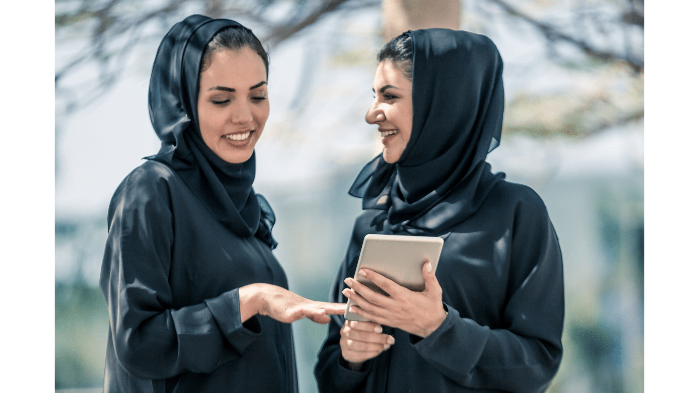 Simple Arabic SEO Guide For Businesses In MENA Region 2020